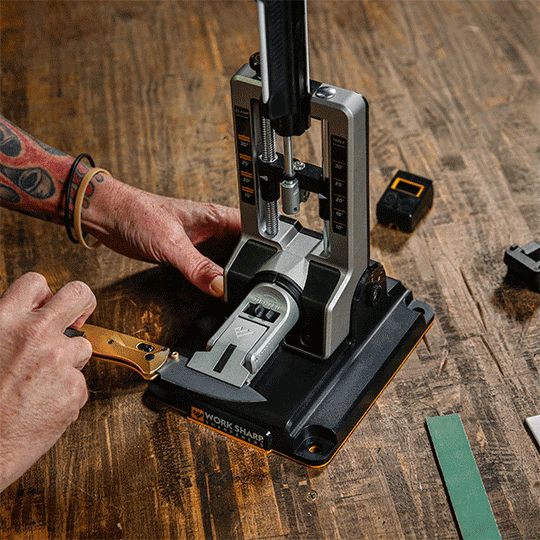 Professional Precision Adjust™ Knife Sharpener – Work Sharp